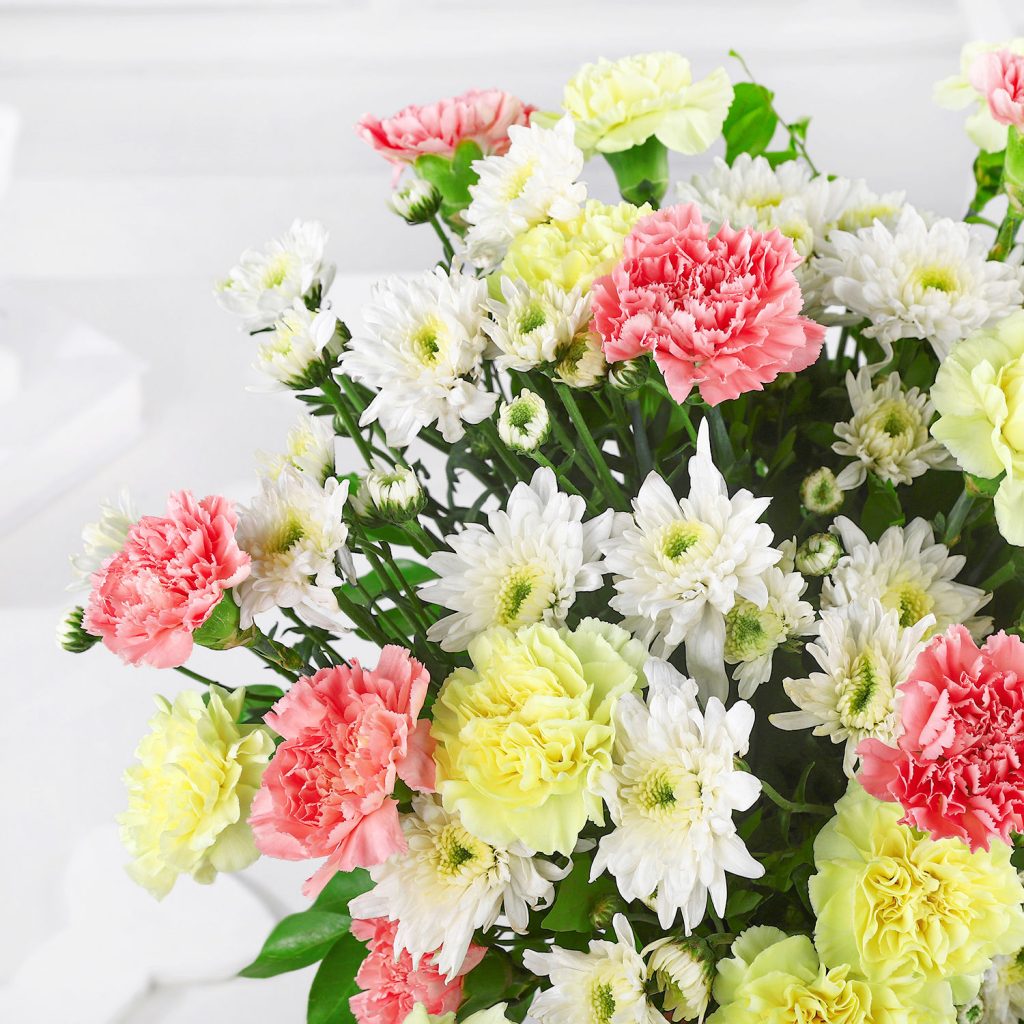 Daisies N Carnations Vibrant Jar Arrangement – Zestta Delight
