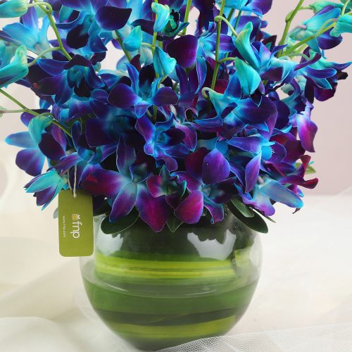 Land Of Beauty Vase Arrangement – Zestta Delight