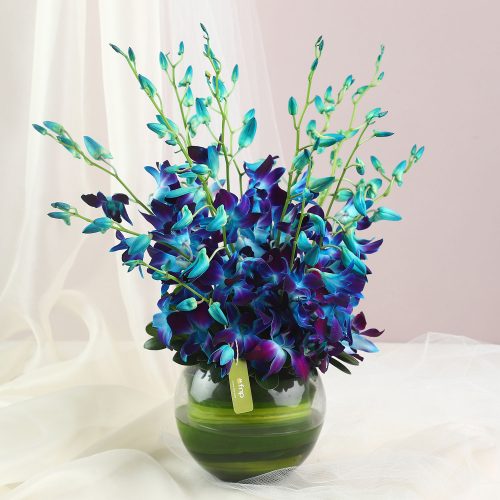 Land Of Beauty Vase Arrangement – Zestta Delight