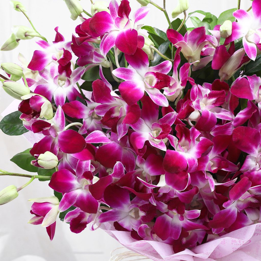 Luxe Love Orchids Bouquet – Zestta Delight