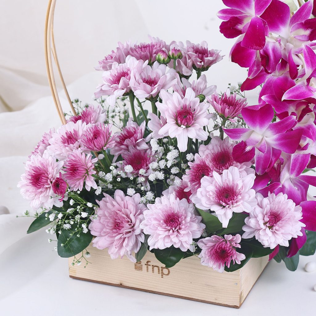 Royal Orchid & Daisy Embrace – Zestta Delight