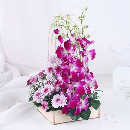 Royal Orchid & Daisy Embrace – Zestta Delight